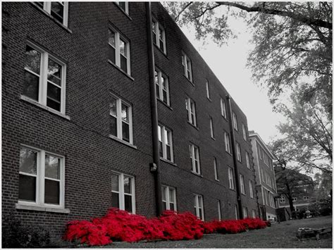 Uca Bernard Hall By Capturetime On Deviantart