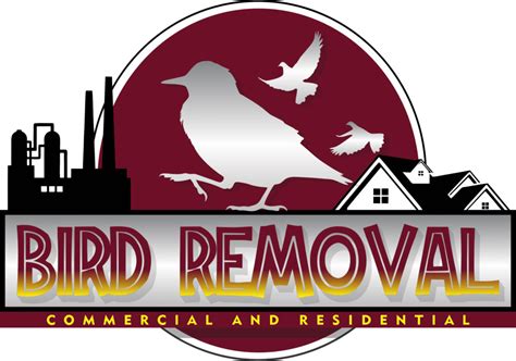 Bird Repellent Circuit At Eva Sherwin Blog