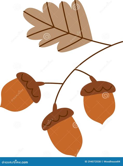 Autumn Acorn From Oak Tree Stock Vector Illustration Of Wood 294072038