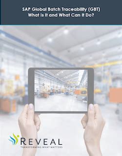 What Is SAP Global Batch Traceability GBT