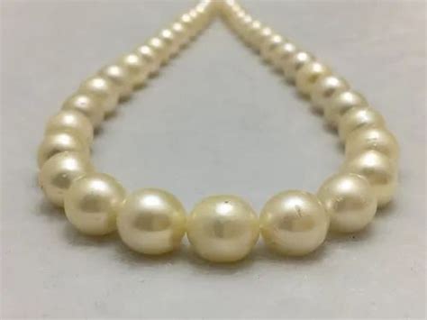 South Sea Pearl String South Sea Oval Shape Cream 10mm Pearl Beads