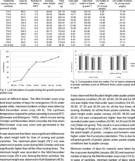 Interaction Effect Of Four Sowing Times And Three Potato Varieties On Download Scientific