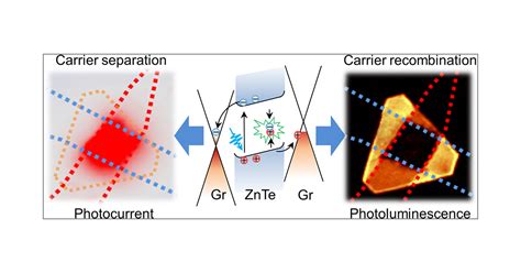A Bifunctional Optoelectronic Device For Photodetection And