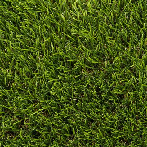 Artificial Grass