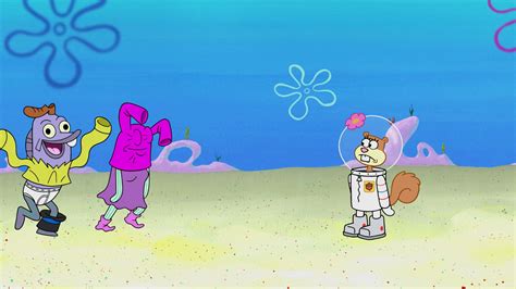 Spongebuddy Mania Spongebob Episode Salsa Imbecilicus