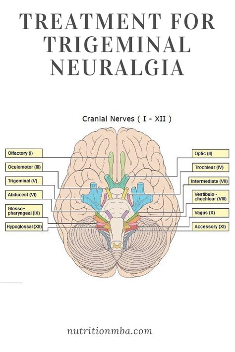 What Triggers Trigeminal Neuralgia Artofit What Triggers Trigeminal Neuralgia Artofit