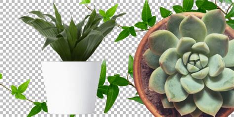 How To Fill An Area With Transparency In GIMP Steps