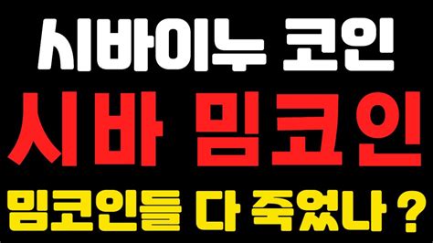 시바이누코인 시바 밈코인 밈코인들 다 죽었나 불독코인비트코인리플이더리움도지코인코인단타 Youtube