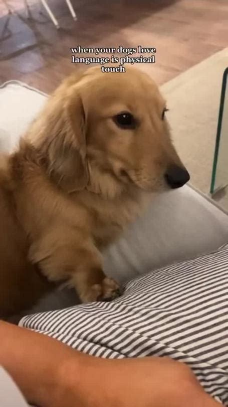 Give Him Attention 😡 Tumbex