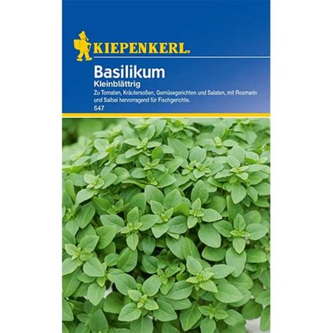 Comanda Online Busuioc Anual De Pe ROAGARDEN RO