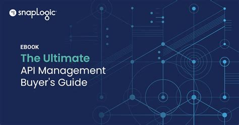 Api Lifecycle Explanation And Overview