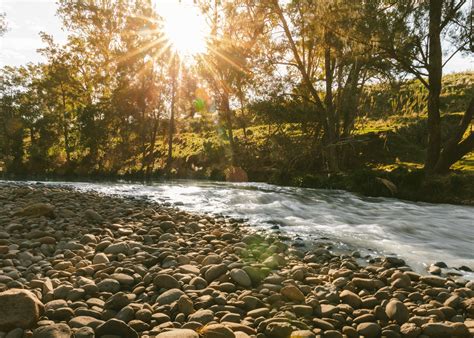 Best Camping In Lake Glenbawn State Park Nsw 2025