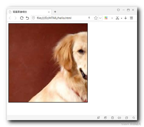 【移动端网页布局】移动端网页布局基础概念 ⑥ 背景图像缩放 不等比例拉伸 同时设置宽高值 等比例拉伸 设置宽度
