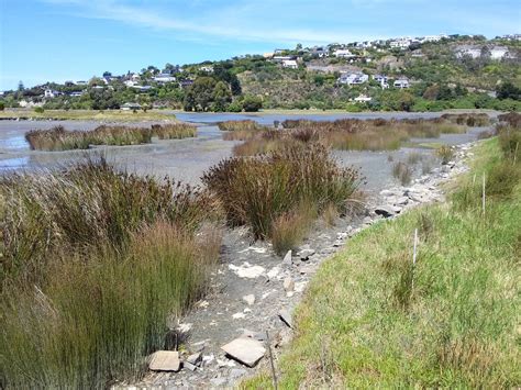 Gallery Avon Heathcote Estuary Trust