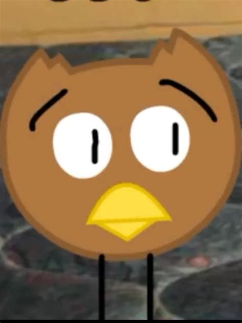 Bfboi Battle For Boi Wiki Fandom