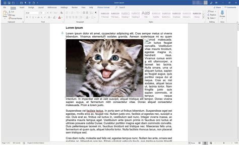 How To Resize An Image Or Object In Word