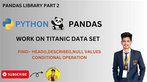 Pandas Library Data Analysis Functions Describe Isnull