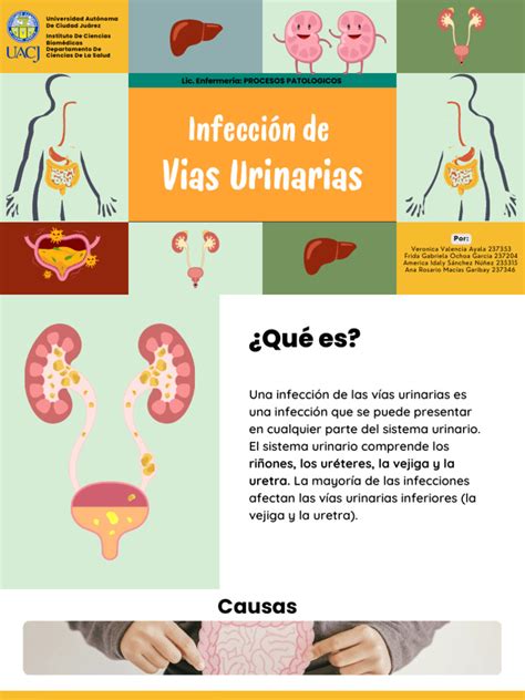 Infecciones De Vías Urinarias Causas Y Tratamiento Pdf Infección