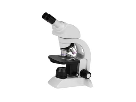 Compound Light Microscope Magnification Power Shelly Lighting