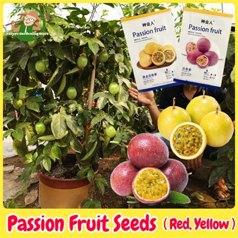 Fresh Organic Red And Yellow Passion Fruit Seeds For Planting High