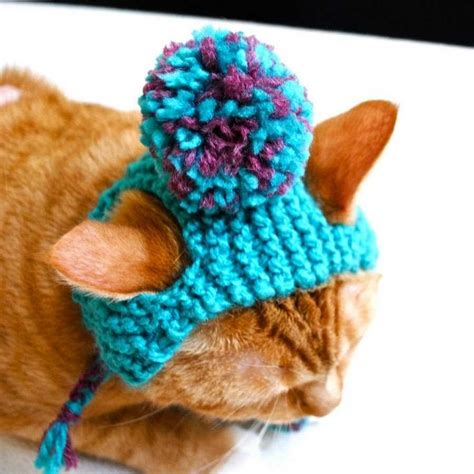 Cozy And Stylish Knitting Patterns For Feline Hats