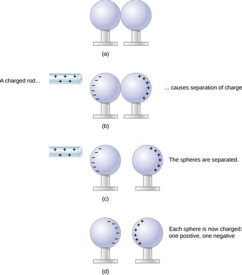 Venn Diagram Of Induction And Conduction
