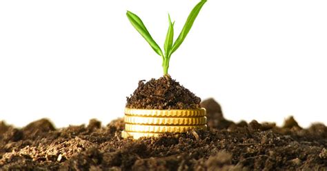 Immunogens First Adc For Ovarian Cancer To Exceed Sales Expectations