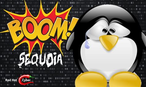 Distro Linux Un Grave Bug Consente Laccesso A Root Completo