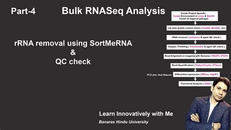 Bulk Rna Seq Analysis Demystified Step By Step Tutorial Part 4 Rrna Removal By Sortmerna Youtube
