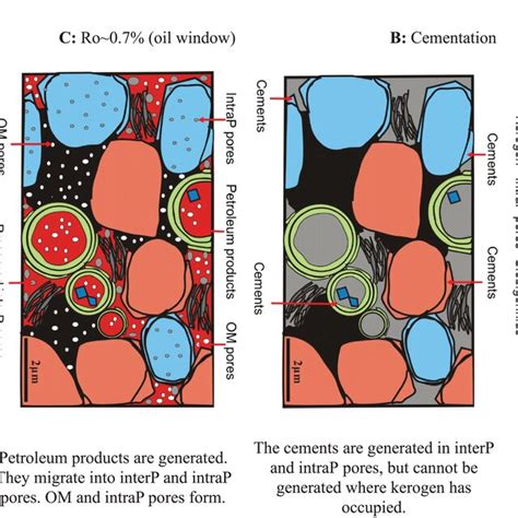 schematic diagram of gas flow simulation using pore network modeling