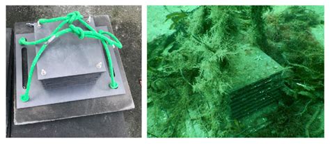 Left Assembled Arms Panels Before Deployment At Sampling Site With A Download Scientific