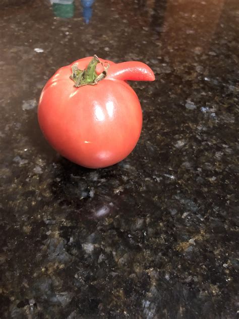Its Pp Is Bigger Than Mine R Mildlypenis