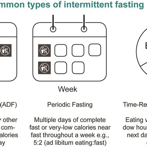 Common Types Of Intermittent Fasting If Download Scientific Diagram