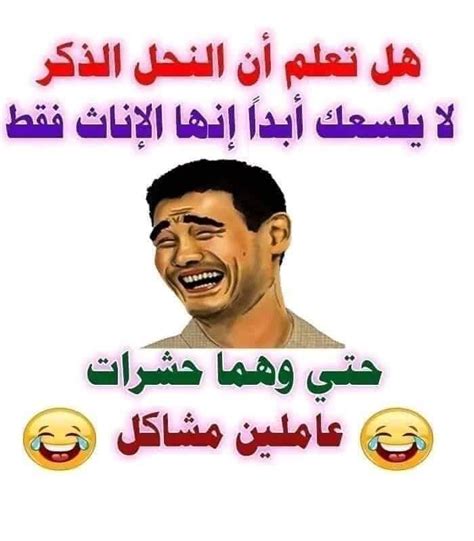 فانز بابا جاب موز