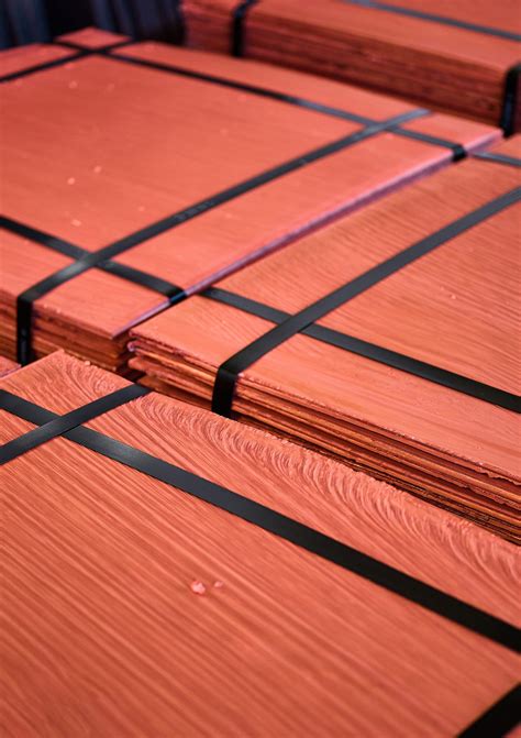 کاتد شرکت رادین اندیشه سپید