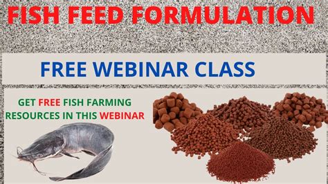 Fish Feed Formulation And Processing At Taylah North Blog
