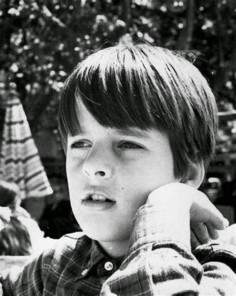 La Ventana Indiscreta De Julia Hernán Pérez También Fue Niño