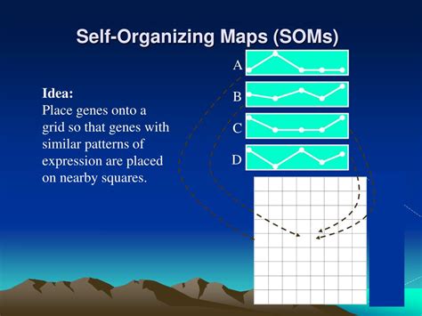 Ppt Self Organizing Maps Powerpoint Presentation Free Download Id6362310