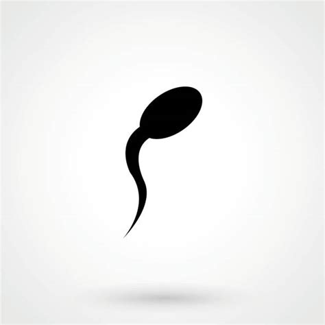 120 Haploid Stock Illustrations Royalty Free Vector Graphics And Clip Art Istock