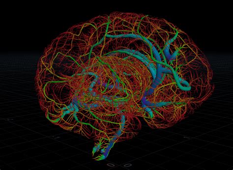 Help Optimizing Many Overlapping Curves For Sweep Rhoudini