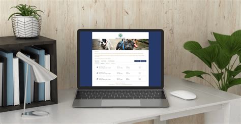 custom welcome messages for client portals the 17hats blog