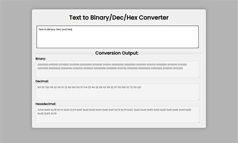Text To Binary Dec Hex Converter Using HTML CSS And JavaScript With Source Code SourceCodester