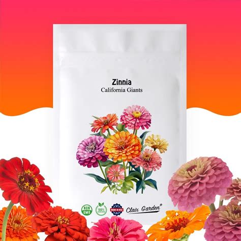 Amazon Com Zinnia California Giant Flower Seeds Bulk Pack Oz Seeds By Seeds Go