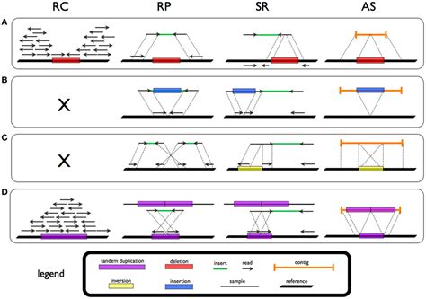 Frontiers Detection Of Genomic Structural Variants From Next Generation Sequencing Data