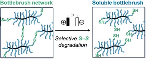Selective Electrochemical Degradation Of Bottlebrush Elastomers Albanese Journal Of Polymer