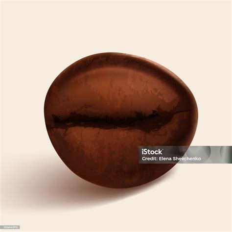 커피 곡물 커피 콩 현실적인 로스팅의 다양한 단계를 보여주는 커피의 향기를 묘사한 구성 갈색에 대한 스톡 벡터 아트 및 기타