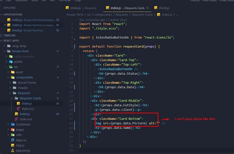 Javascript I Cant Pass Picture From My Mock Data To Component