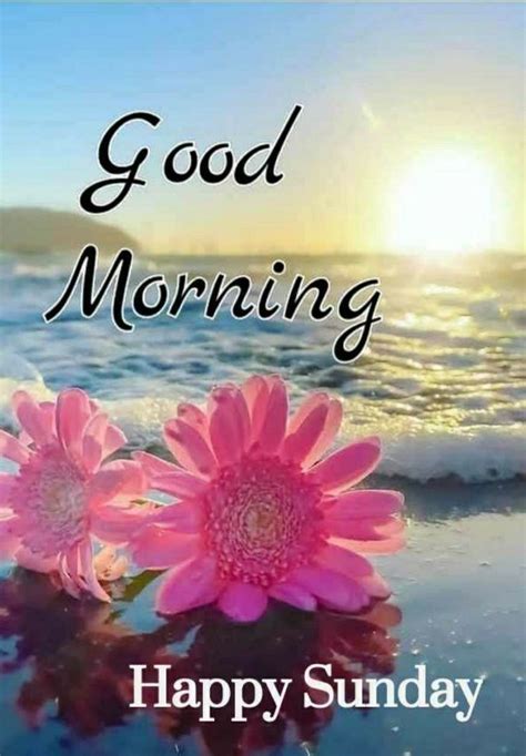 Pin By Angel Alloway On Have A Beautiful Day☀️ Good Morning Sunday