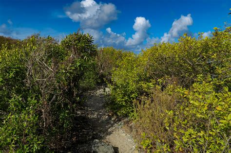 Virgin Islands National Park Ram Head Trail 26 Miles D340 Dwhike
