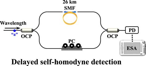 Delayed Self Homodyne Detection Architecture Download Scientific Diagram